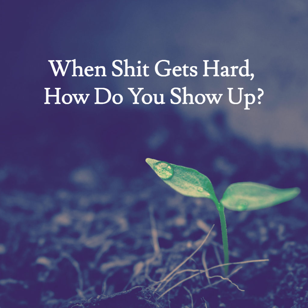 When Shit Gets Hard, How Do You Show Up? - Resourcing the Revolution